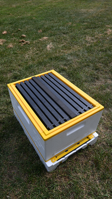 Nucleus Beehives - HiveIQ US