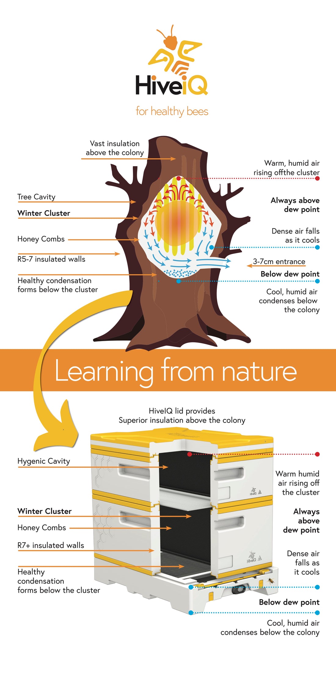 Buy Beehives Online - HiveIQ US