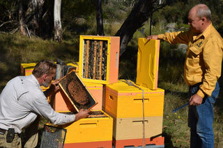 USA Beehive Kit - Three Story - HiveIQ US